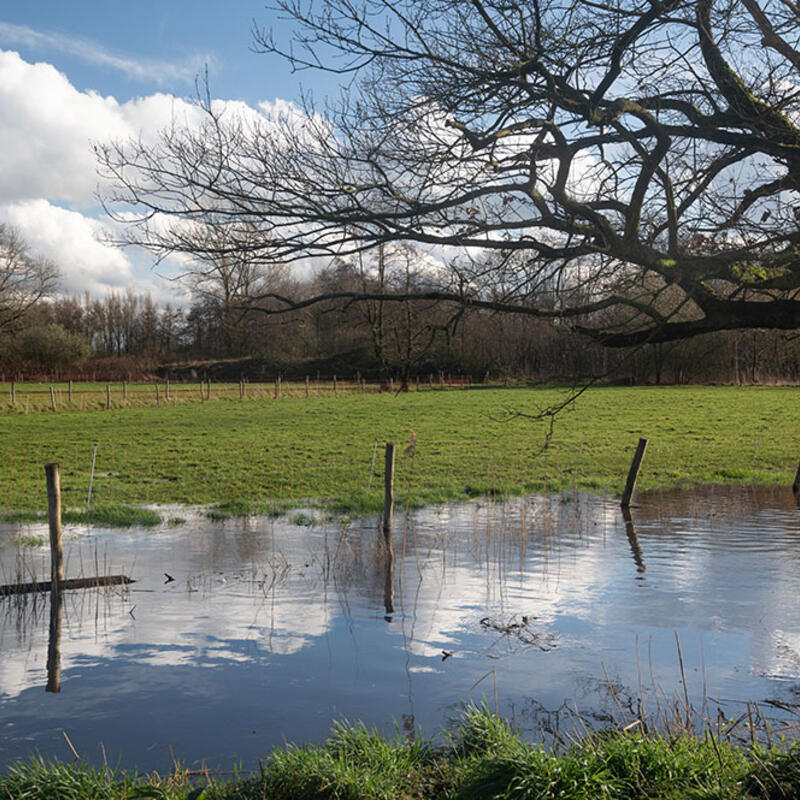 Thema avond: het water staat ons bijna aan de lippen | GroenLinks Heeze ...