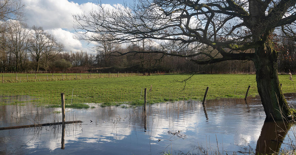 Thema avond: het water staat ons bijna aan de lippen | GroenLinks Heeze ...